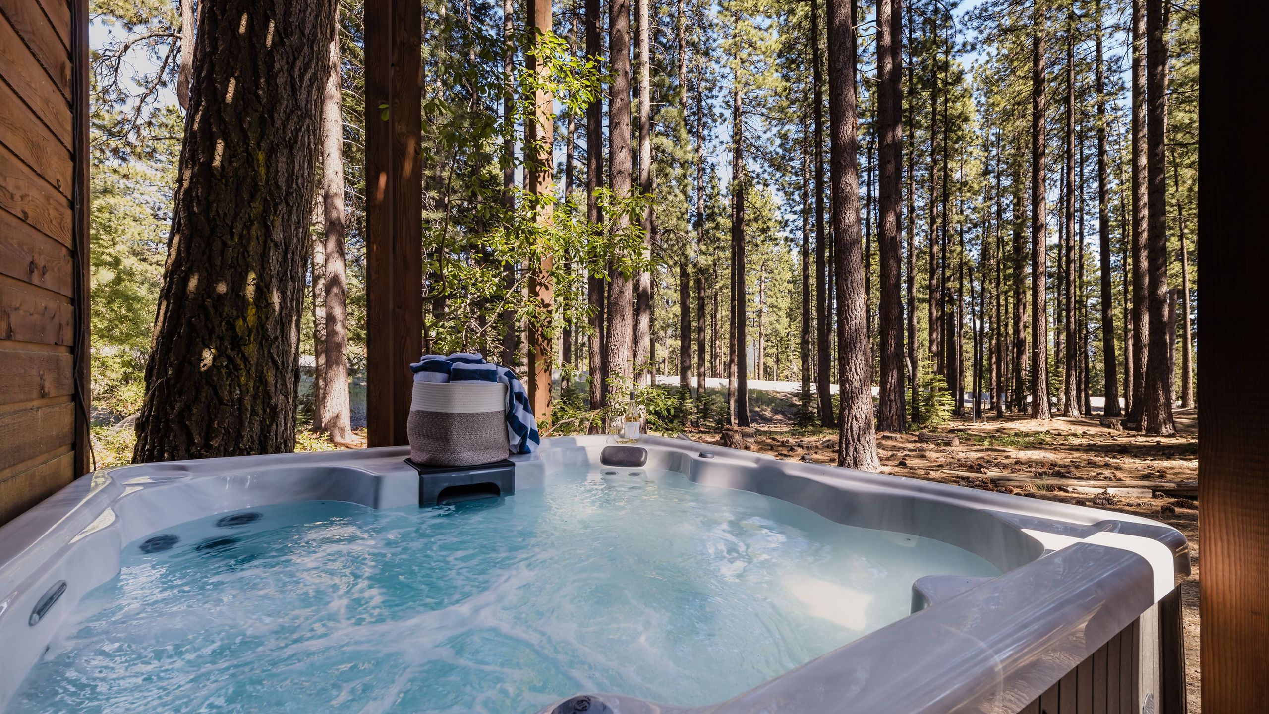 Spacious Cabin With Hot Tub And Large Patios - Cozy Secluded Retreat - Incline Village